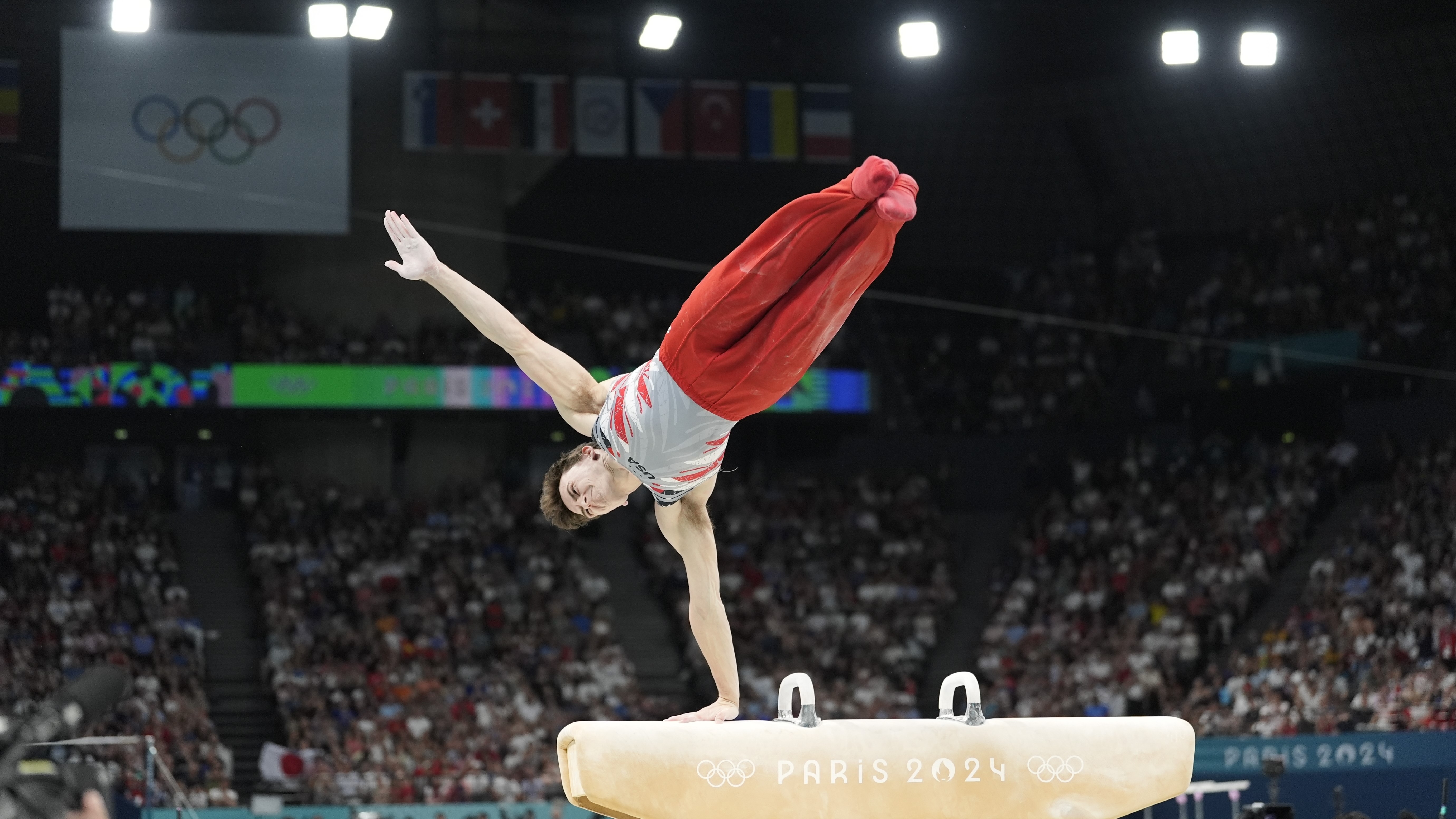Pommel Memes