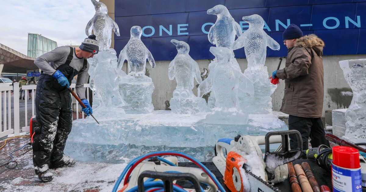 New England Aquarium's annual ice sculpture features beloved African ...